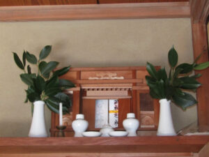 Sakaki: Japan’s Sacred Tree in Shrines and Rituals | Manekineko GAMES