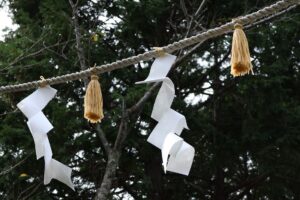 What Are Shide? A Guide to Japan’s Sacred Zigzag Paper | Manekineko GAMES