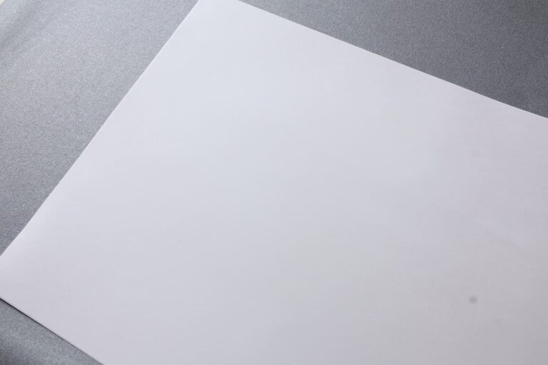 What Are Shide? A Guide to Japan’s Sacred Zigzag Paper | Manekineko GAMES