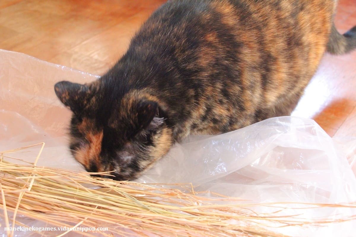 Shimenawa: Japan's Sacred Straw Rope and Its Meaning | Manekineko GAMES