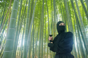 What Were Ninja? Uncover Their Role in Japanese History | Manekineko GAMES