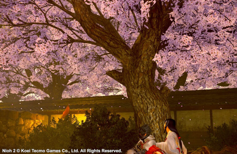 Ohanami in Japan! A Guide to Cherry Blossom Viewing | Manekineko GAMES