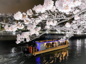 Ohanami in Japan! A Guide to Cherry Blossom Viewing | Manekineko GAMES