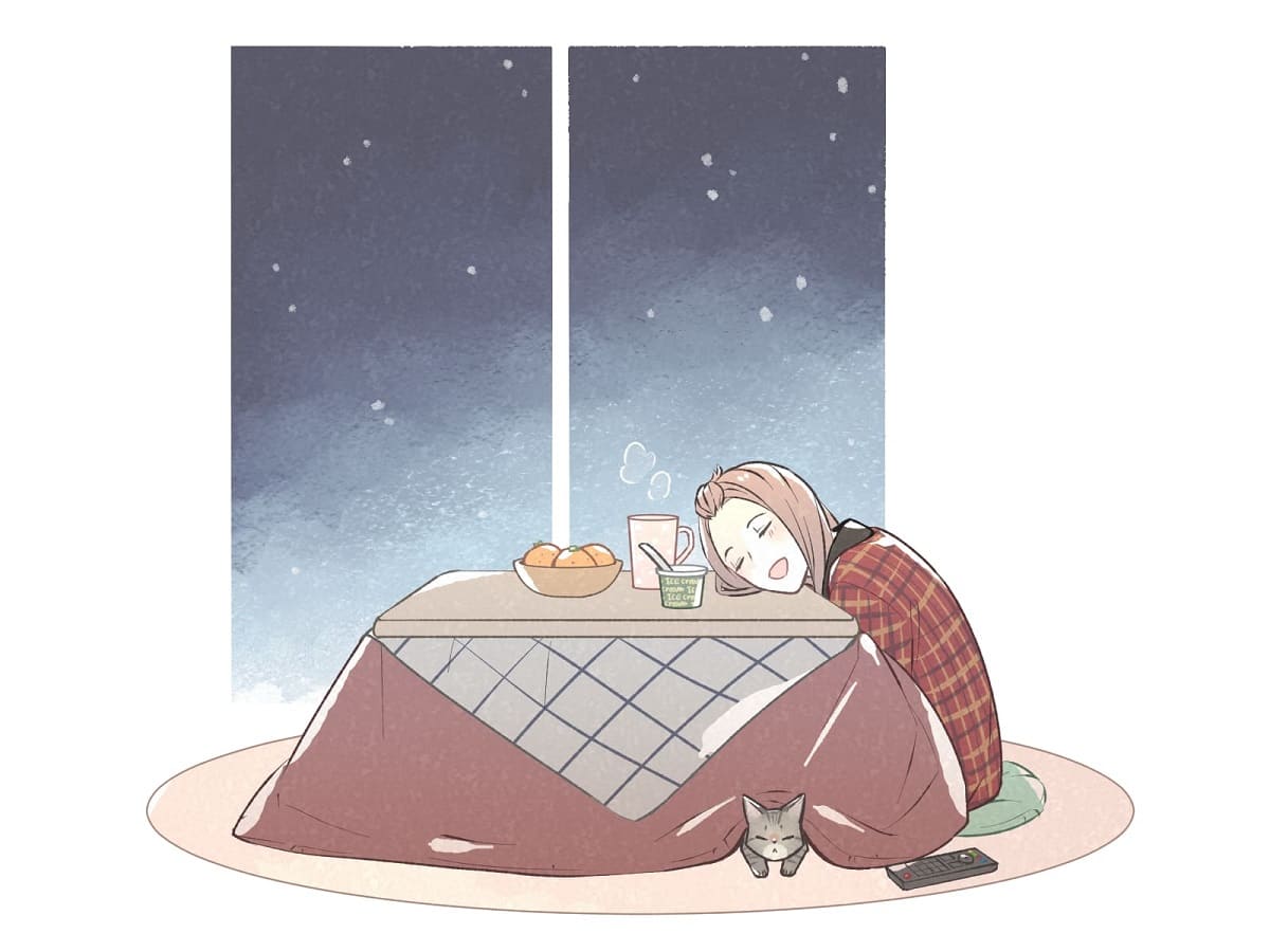Hanten: Traditional Japanese Winter Jacket You Need to Try | Manekineko ...