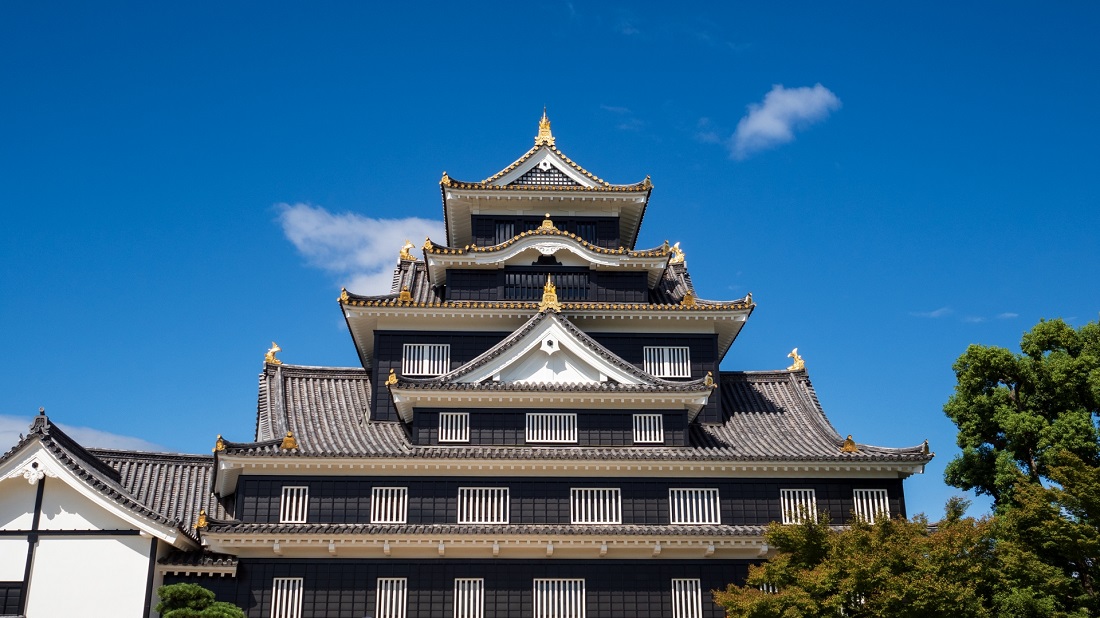 Japanese Castles: History, Role, and Why Most Disappeared | Manekineko ...