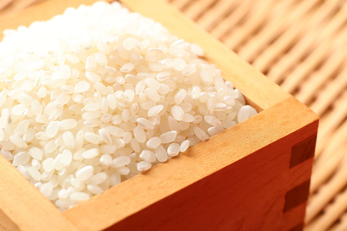 The History of Rice in Japan: Why Is It the Staple Food? | Manekineko GAMES