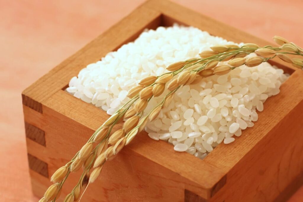The History of Rice in Japan: Why Is It the Staple Food? | Manekineko GAMES