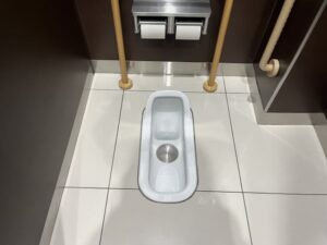 Squat Toilets in Japan: History and How to Use Them | Manekineko GAMES